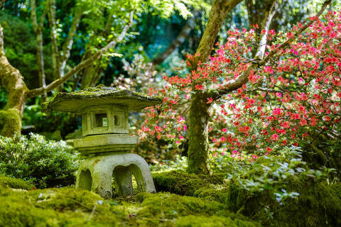 May Bank Holiday 2026 - The Japanese Garden